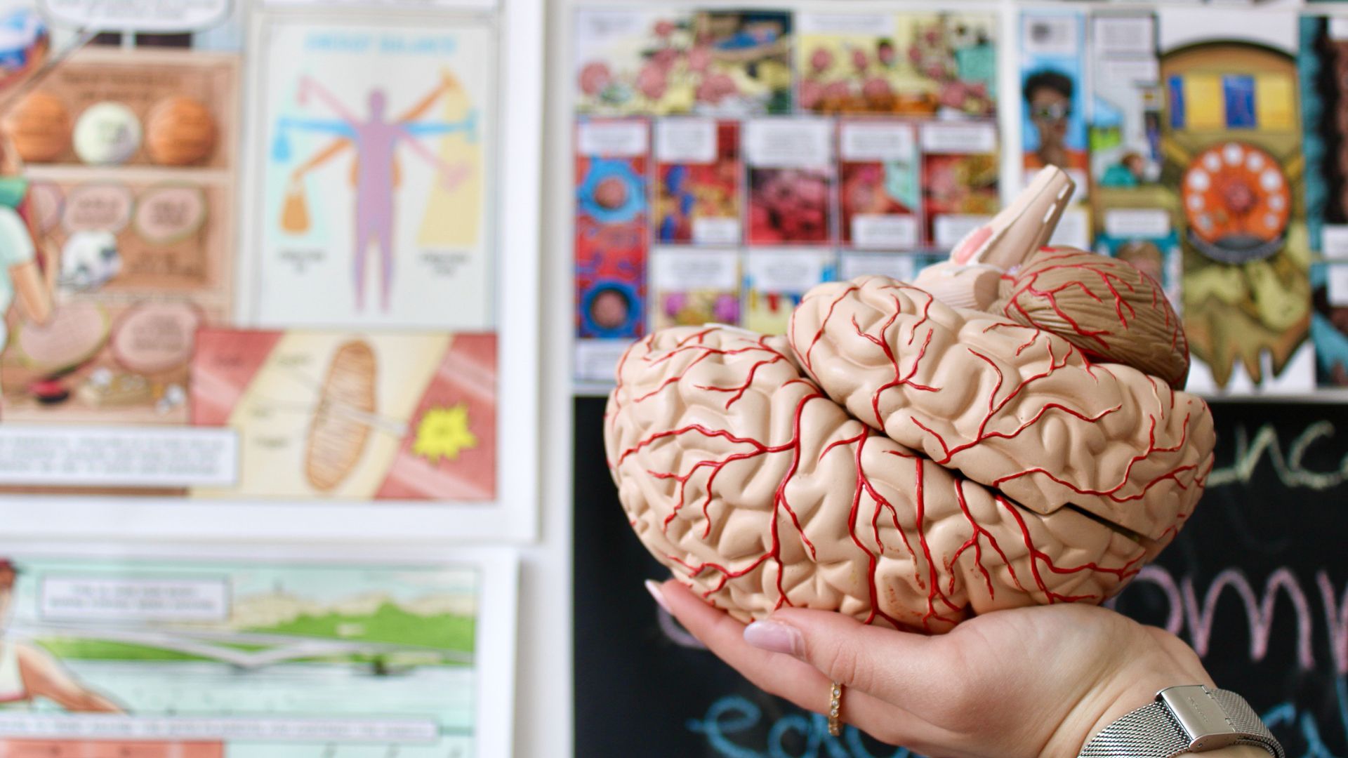 CNC Center for Neuroscience and Cell Biology | CNC UC